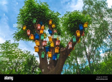 Color Nesting Boxes On A Tree A Lot Of Colorful Birdhousesthe Concept