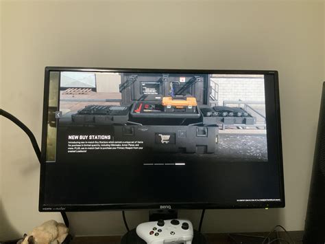 I Cannot Play Because Of This Bug Worked Fine For A Bit But Now This