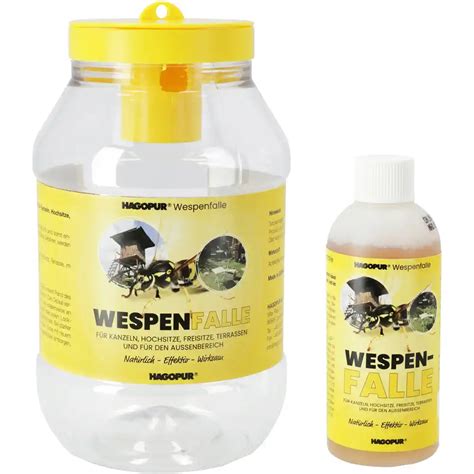 Wasp Trap Anli Shop