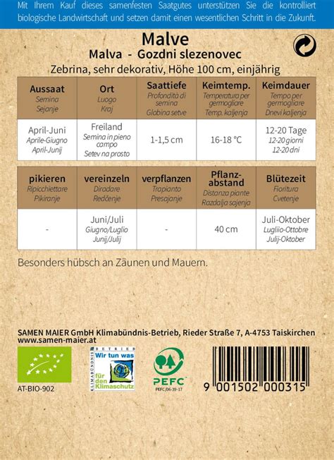 Samen Maier Bio Zebrina erdei mályva 1 csomag Bloomling Online Shop