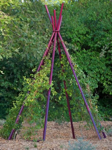 Annabel Tipi Trellis Teepee Trellis Garden Trellis Teepee