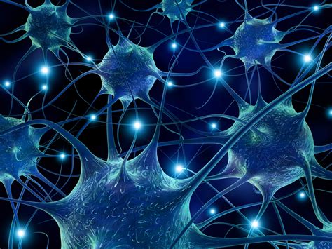 neural stem cell industry news round up june 2015 bioinformant