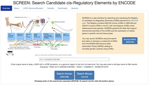 Encode Encyclopedia Version 4 Genomic Annotations Encode
