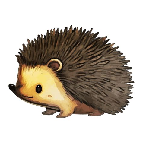Premium Vector Hedgehog Watercolor Vector Illustration