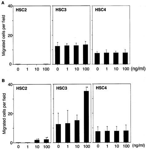 Chemokine Mediated Invasion Of Oscc Cell Lines We Used Matrigel Coated