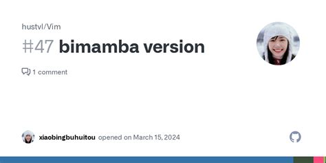 Bimamba Version Issue 47 Hustvl Vim GitHub