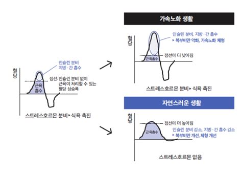 50 이후 빨리 늙고 싶지 않다면 당장 고쳐야 할 습관 무작정 따라하기