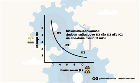 เส้นผลผลิตเท่ากัน คืออะไร Isoquant Curve ในการผลิตระยะยาว Greedisgoods