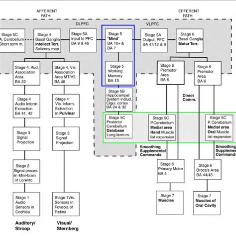 11 2 Generic Intermediate Signal Flow Diagram Template It Can Be Used