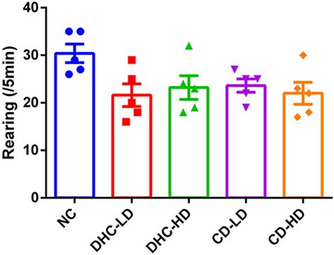 Prolonged Codeine Administration Causes Degeneration Of Myelinated Axo