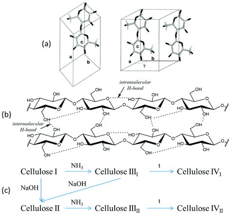 Complex Molecular Structure Of Cellulose A Native Cellulose I Unit