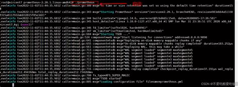 启动prometheus报错opening Storage Failed Lock Db Directory Resourc Csdn博客