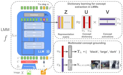 论文审查 A Concept Based Explainability Framework For Large Multimodal Models