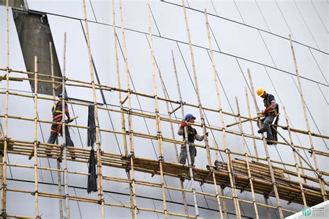 搭棚工艺 非物质文化遗产 澳門文化遺產網