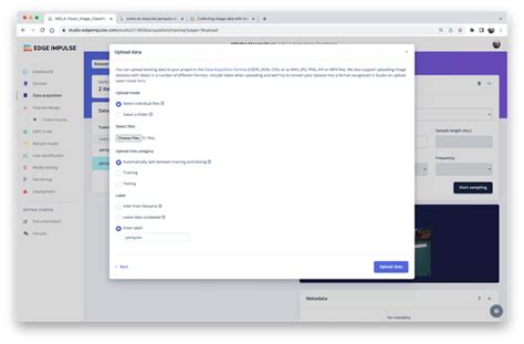 Image Classification Machine Learning Systems
