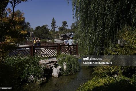 The Chinese Garden At The Huntington Library Art Museum And News