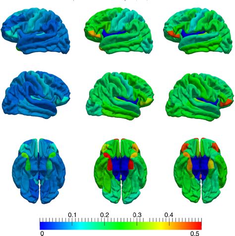 Figure 1 From A Comparison Of Voxel And Surface Based Cortical