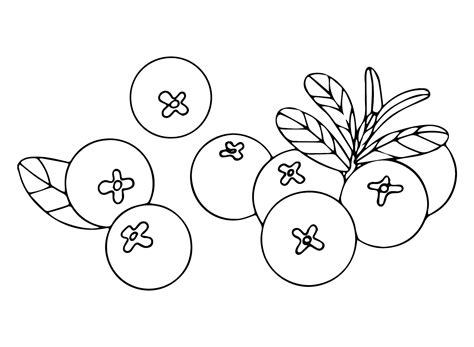 Cranberry Pictures Coloring Page Free Printable Coloring Pages
