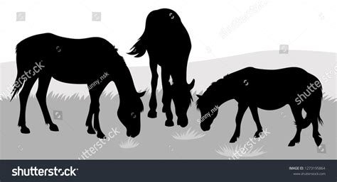 Vector Silhouettes Grazig Horses Shetland Pony 库存矢量图（免版税）1273195864