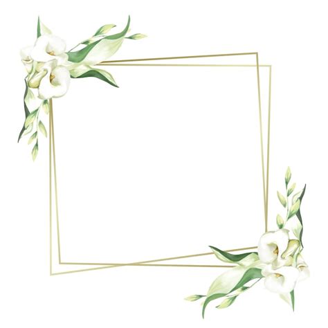 Premium Vector Calla Lily Frame