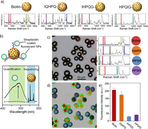 Sers Barcoding And Screening Of Solid Phase Peptides Library A Model Download Scientific