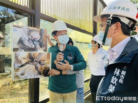 壽山動物園改建明年4月部分開放 「換人類進鐵籠」3大亮點曝光 Ettoday旅遊雲 Ettoday新聞雲