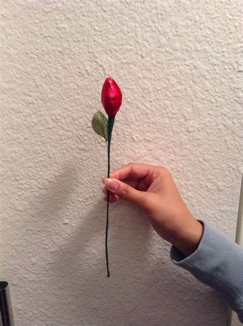 Hersheys Kisses Rose Bud Hershey Kiss Rose Buds Rose Buds Hershey