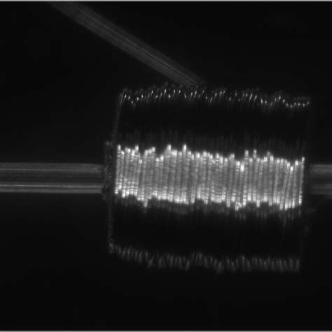 The Microfluidic Inductive Sensor Chip Under Microscope Download