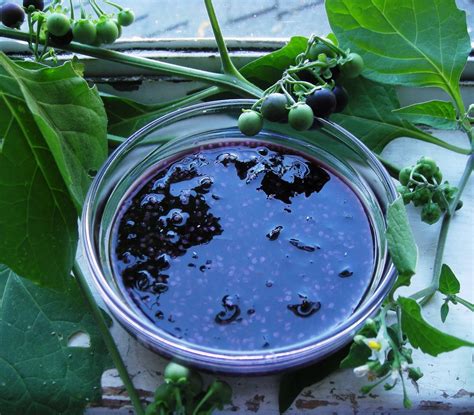 Laure's Gardens: The Wonderful Wonderberry