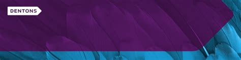Joni Ploeger Shareholder At Dentons Davis Brown Linkedin