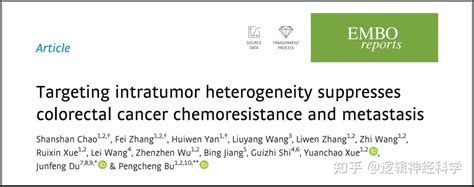 Embo Reports︱中科院生物物理所卜鹏程 中国人民解放军总医院杜峻峰团队发现靶向肿瘤异质性能够抑制结直肠癌的化疗耐受和转移 知乎