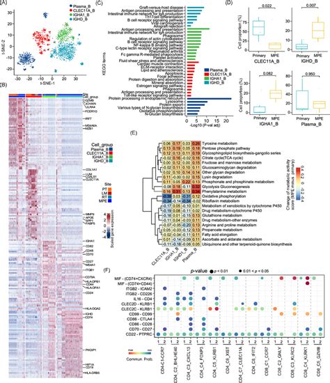 Characterization Of B Cells In Osteosarcoma Tumour Tissues And Mpe A