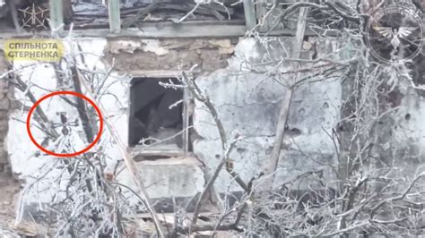 Fpv Drone Hits Russians Through Open Window