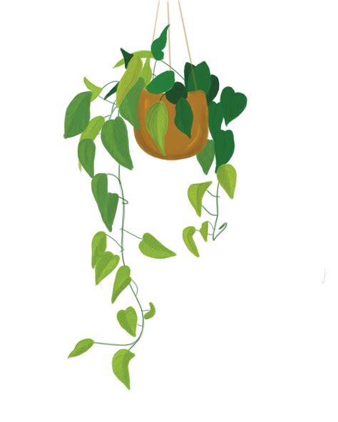 Pothos Plant Minimalistic Plant Art Printable Wall Art Digital