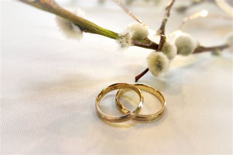 Wedding Pussy Willow Free Photo On Pixabay Pixabay
