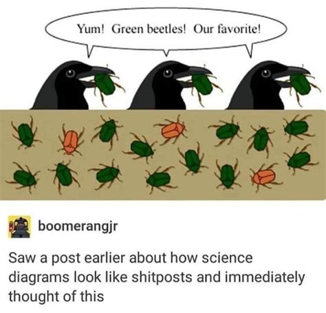21 Actual Science Diagrams That Look Like Memes Gallery Ebaums World