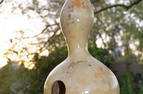 Grow Your Own Gourd Bird House Birds And Blooms