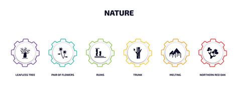 Leafless Tree Images Browse 1 898 Stock Photos Vectors And Video Adobe Stock