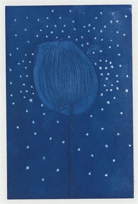 Superplants — Nora Pauwels