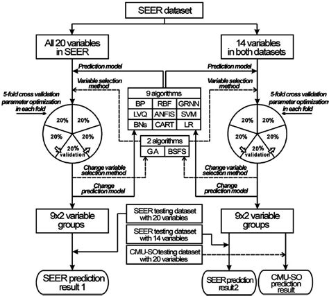 The Optimization And Prediction System Seer Dataset Prediction Result Download Scientific
