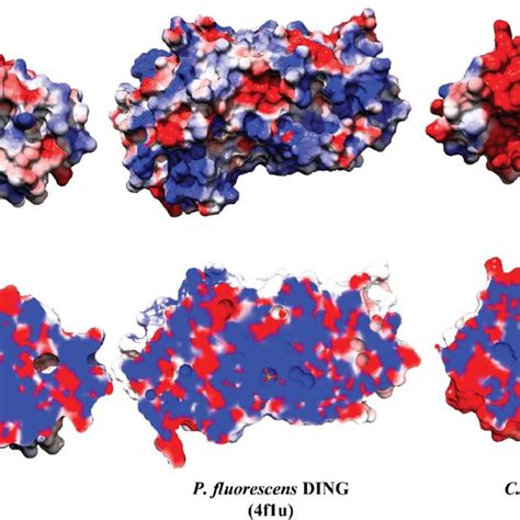 Molecular Replacement Solutions Obtained Using Polyalanine Models Of