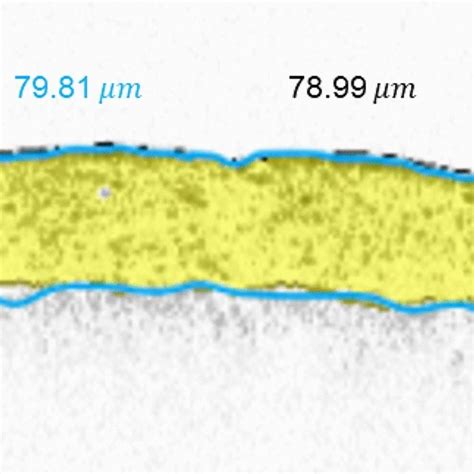 Outline Of The Clustering Algorithm To Detect The Area Of Interest Download Scientific Diagram