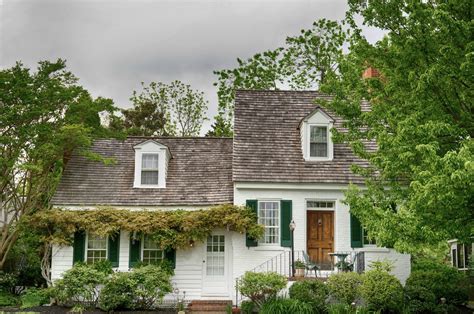 Why Tree Roots Can Cause Foundation Problems And How To Manage Them