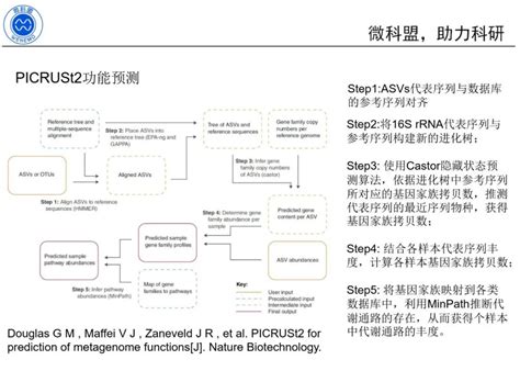 picrust2菌群功能预测分析 csdn博客
