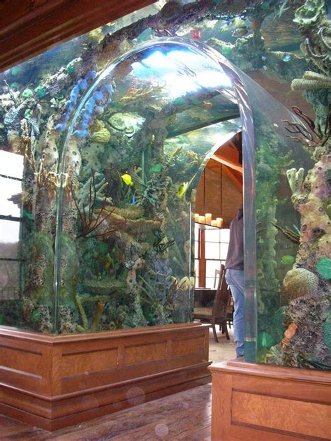 Awesome Fish Tank Ideas 15 Aquarium Design Home Aquarium Aquarium
