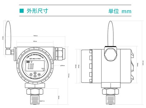 WANLIN TP9001防爆压力表 无线远程报警数显压力计 万霖 当宁消防网