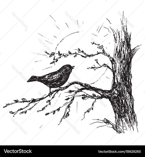 Bird In A Tree Drawing