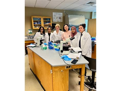 New Course Based Undergraduate Research Experience Offered At Lehigh Valley Penn State