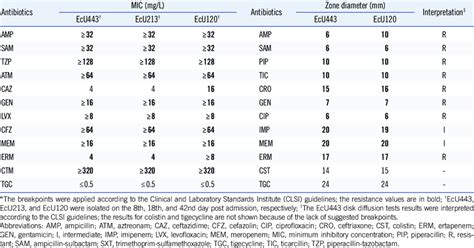 Antimicrobial Susceptibilities Of Clinical Escherichia Coli Isolates