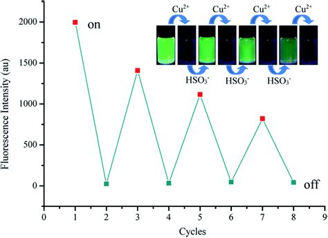 A Chemosensor With A Paddle Structure Based On A Bodipy Chromophore For